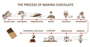 What Is The Process Of Making Chocolate？6 Steps